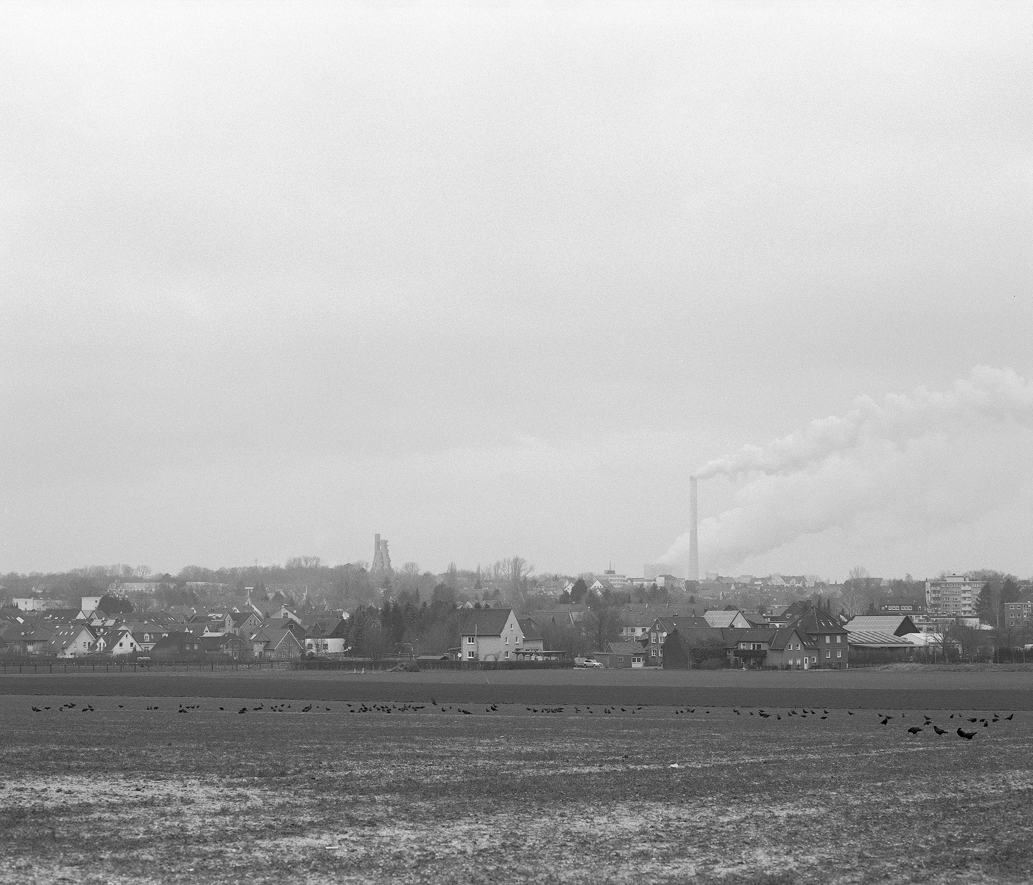 Ursuppe: Agfa Rodinal - APHOG – Analoge Photo Gruppe