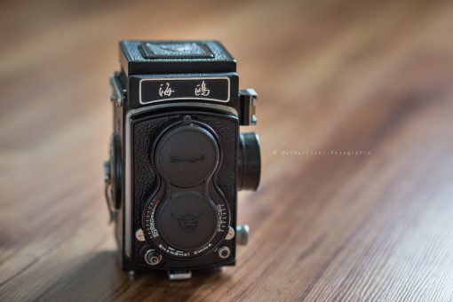 Kamera Review Seagull 4A 103 - APHOG – Analoge Photo Gruppe