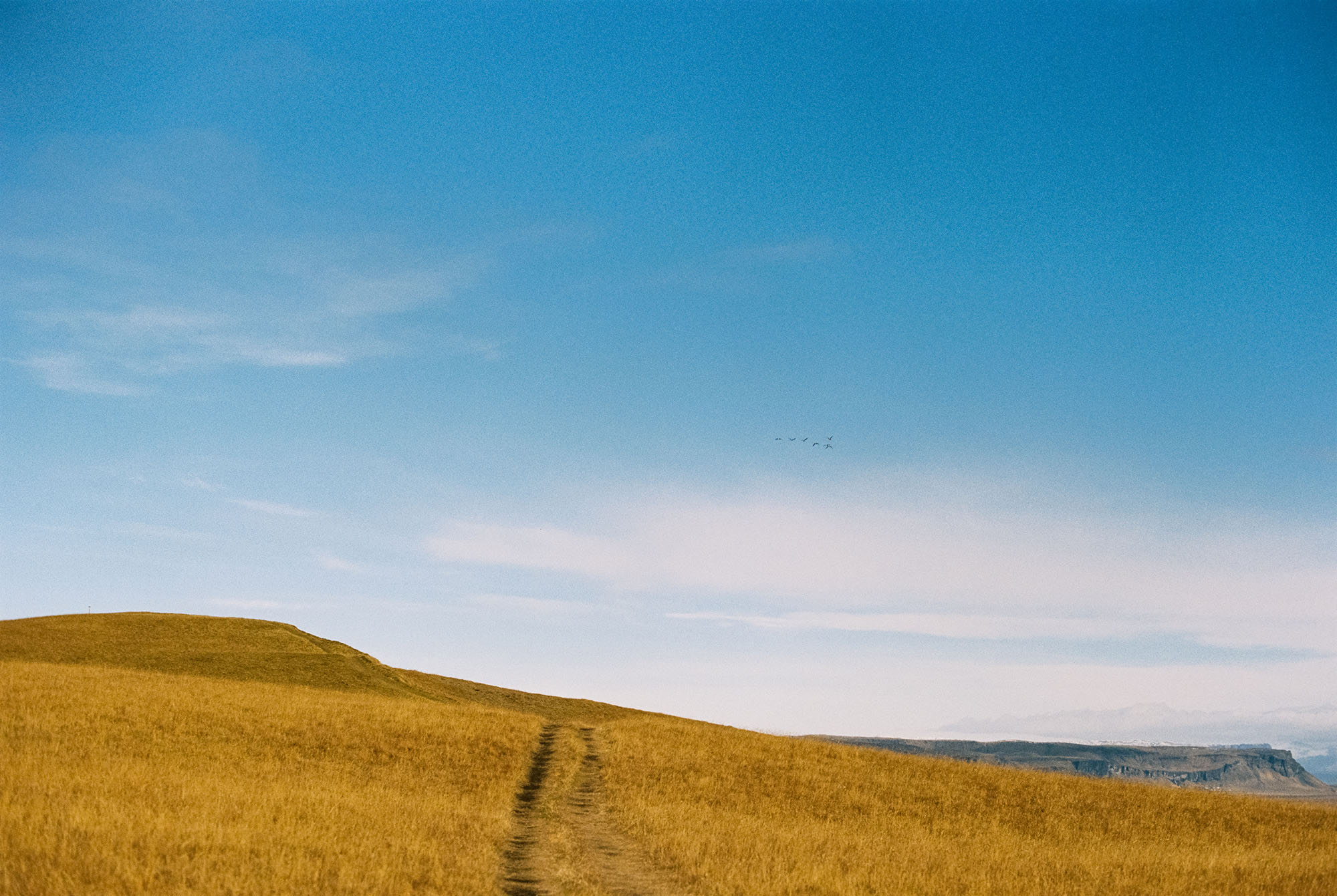 Bilderserie/Teaser: Island - APHOG – Analoge Photo Gruppe