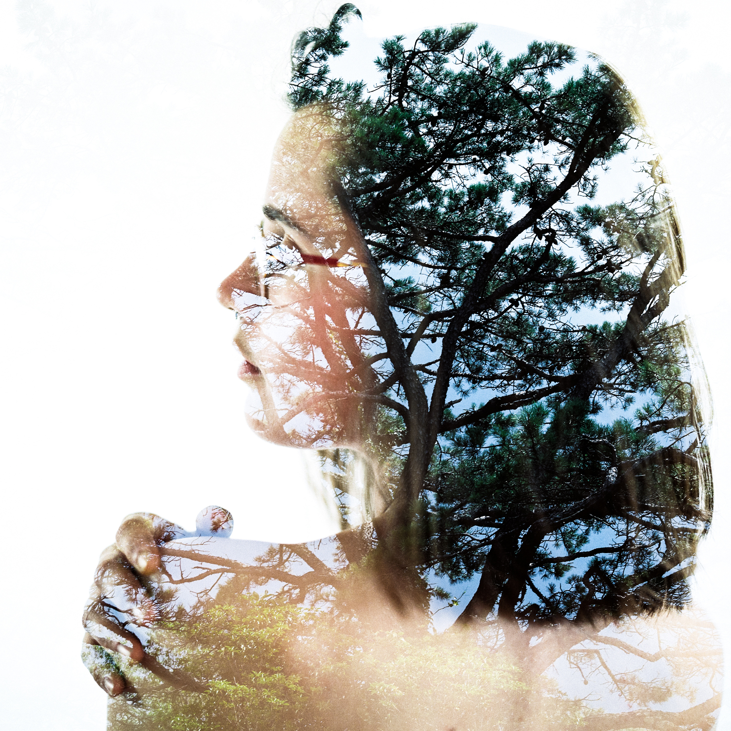 APHOG – Analoge Photo Gruppe