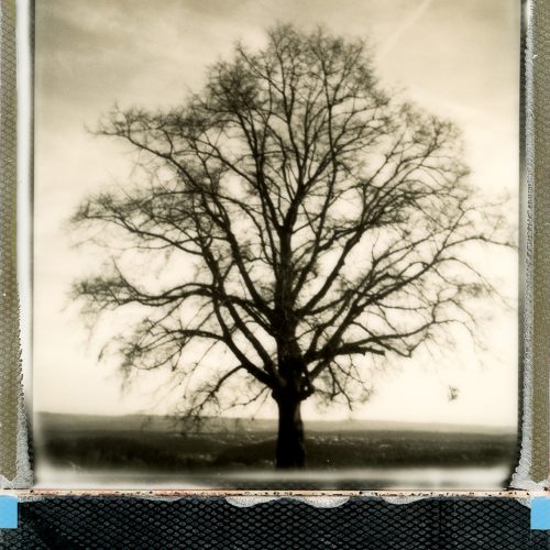 APHOG – Analoge Photo Gruppe