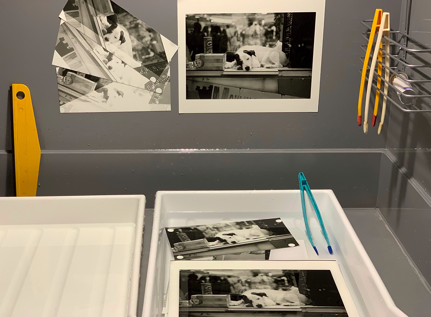 Lina Bessonova im Interview - APHOG – Analoge Photo Gruppe