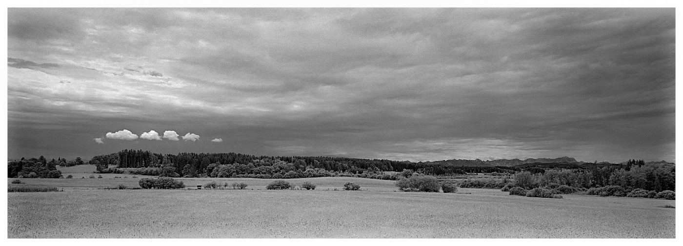 Bild des Monats – August 2022 - APHOG – Analoge Photo Gruppe